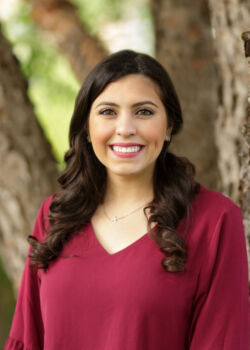 Therapist or Counselor Near Me | Park Ridge, Willowbrook, IL